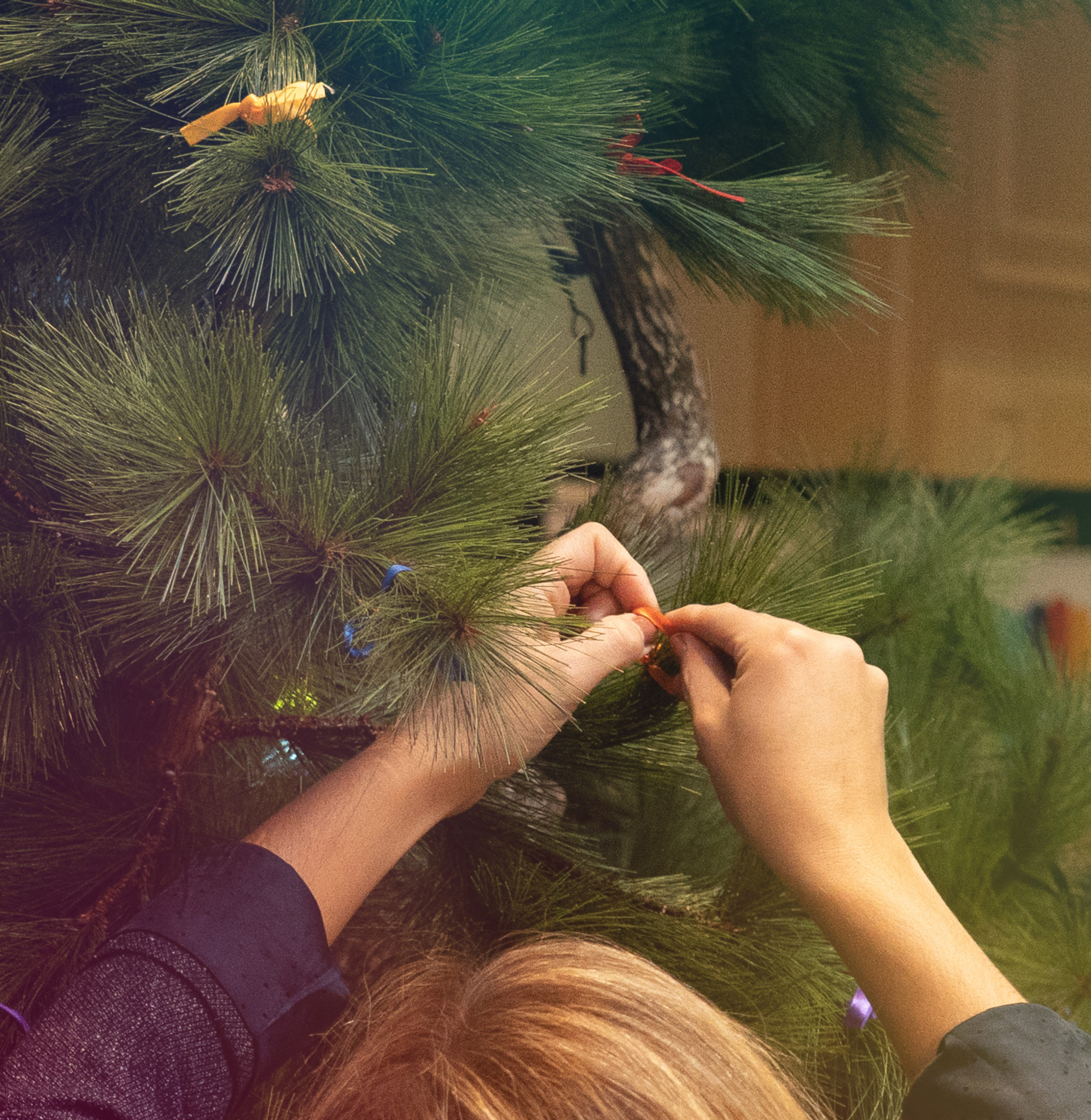 Boeing Bonsai Club – Jack Liebl – Creative Director & Designer